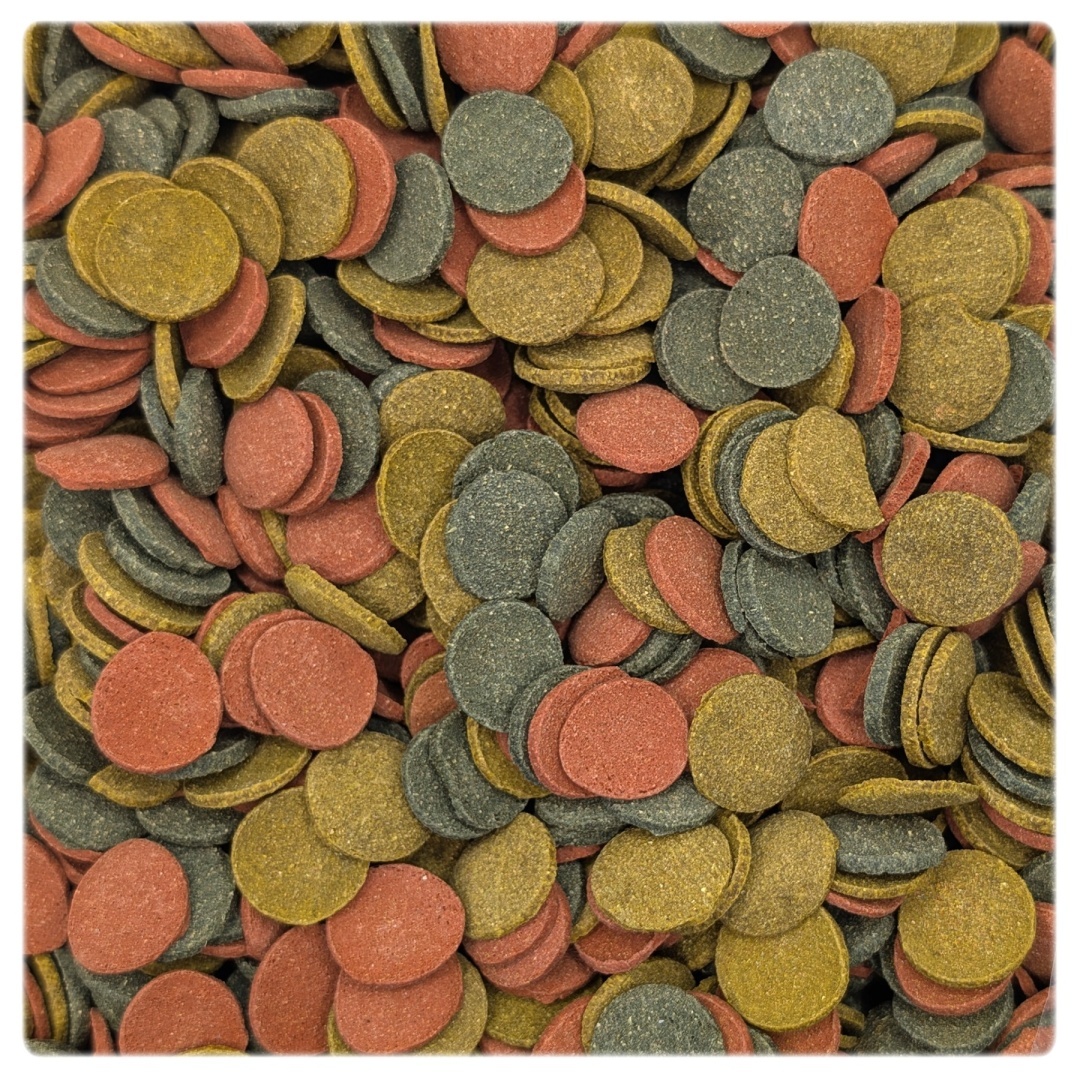 Glopex Mix wafers 1kg Pokarm dla ryb dennych Kirys Glonojad Bocja Sklep ...